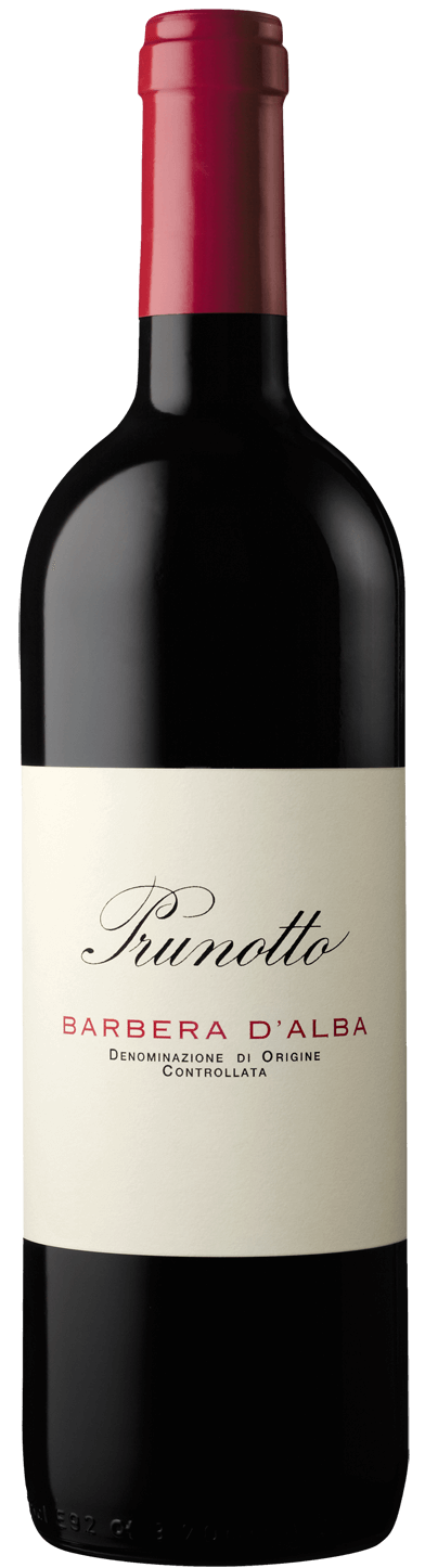 Barbera d'Alba Prunotto – Elegante en fruitige Italiaanse rode wijn