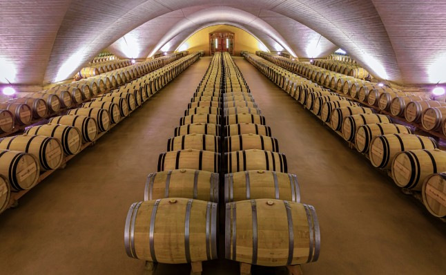 Méthodes de vinification en Italie : quelles sont-elles